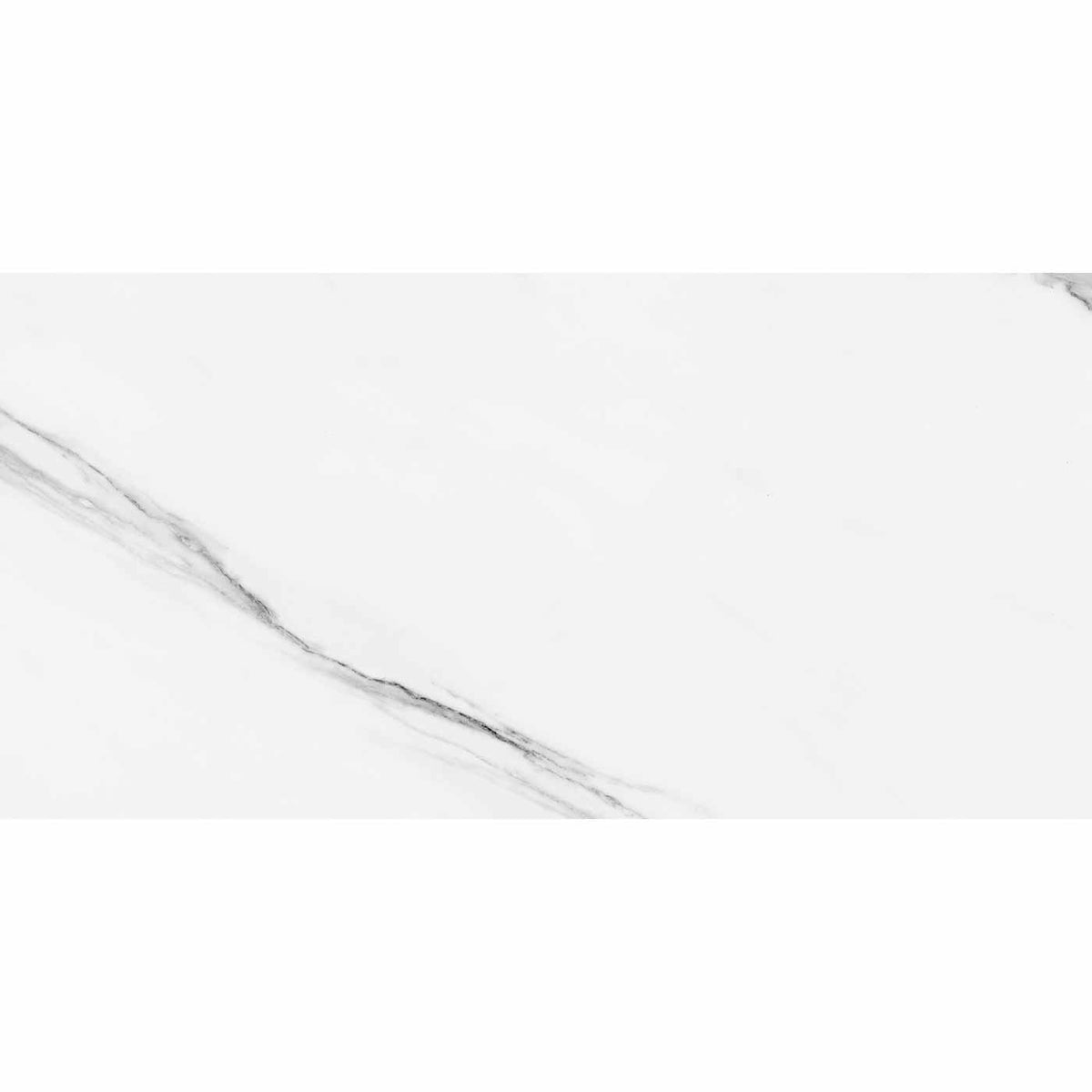 Statuary Blanco Polished Porcelain White tile | 30x60cm Geotiles — Tile ...