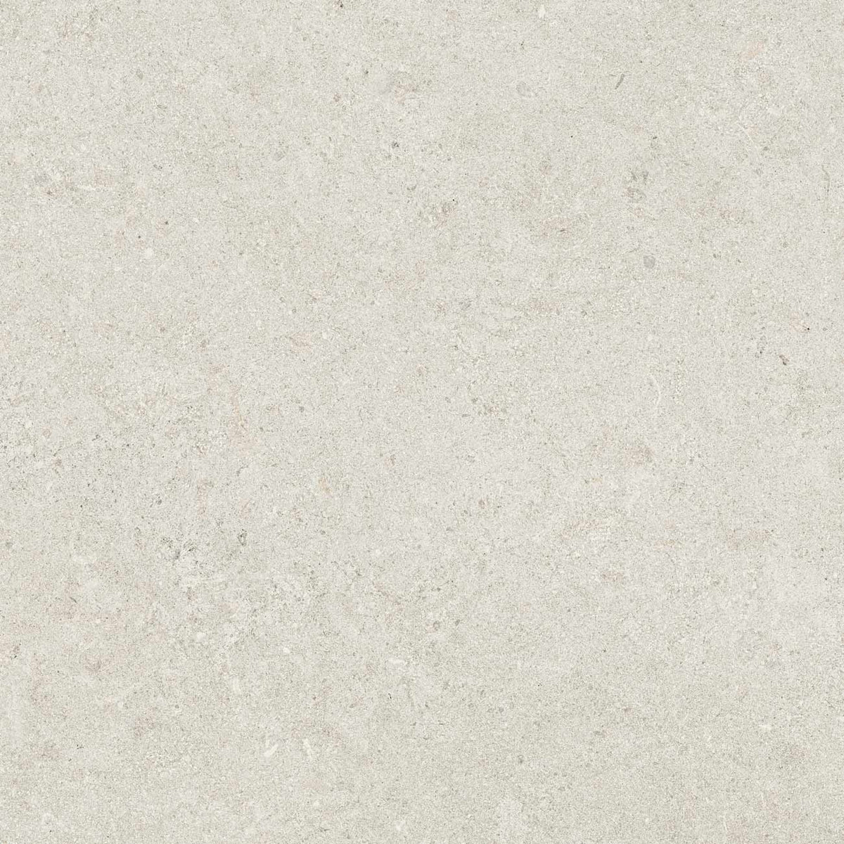 Rimini Ash Porcelain tile | 60x60cm Stile — Tile.co.uk