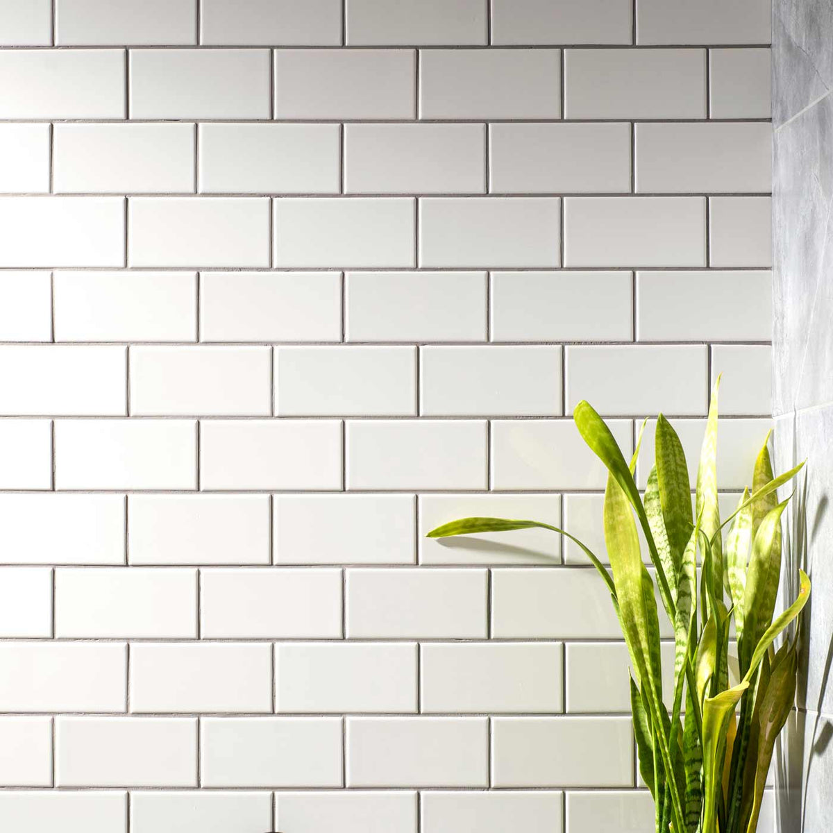 Brilliant White Half Tile | 152x75cm | Original Style — Tile.co.uk