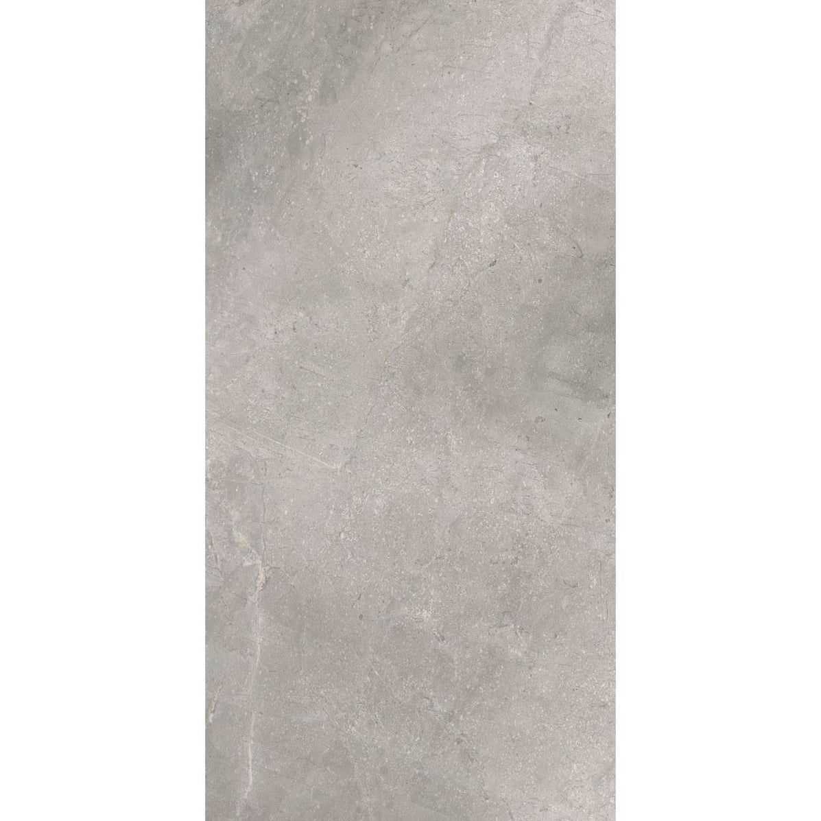 Wonderlust Silver large porcelain tile 60x120cm — Tile.co.uk