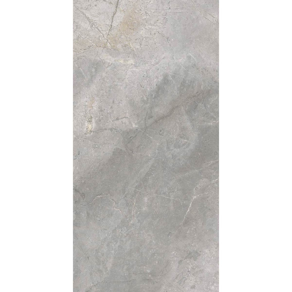 Wonderlust Silver large porcelain tile 60x120cm — Tile.co.uk
