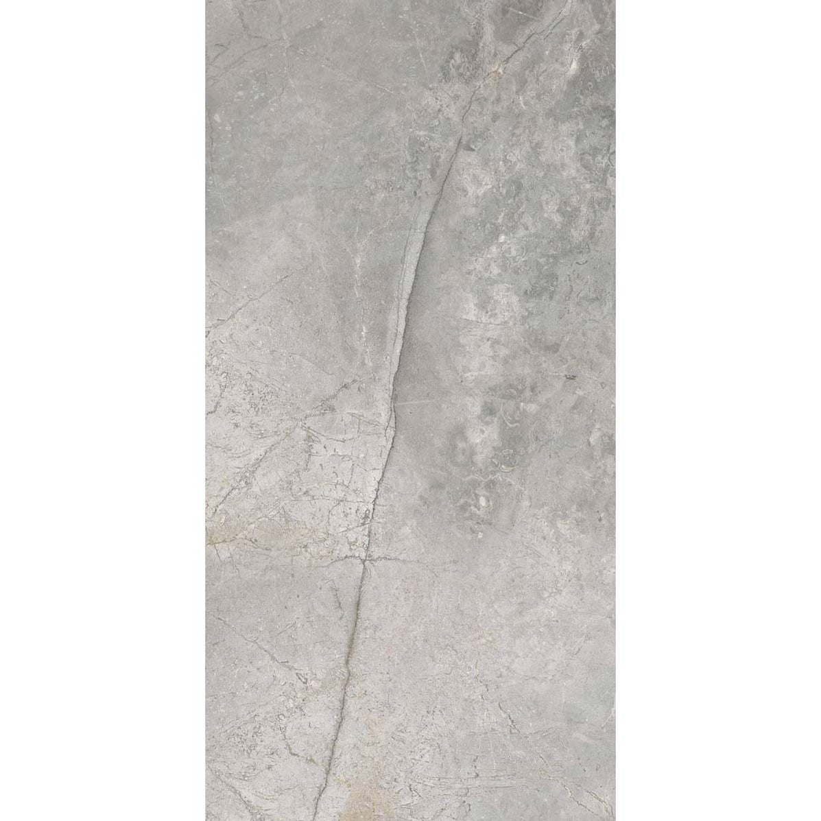 Wonderlust Silver large porcelain tile 60x120cm — Tile.co.uk