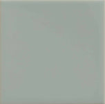 Tunstall Fern Square Tile | 12.5x12.5cm Ceramic — Tile.co.uk