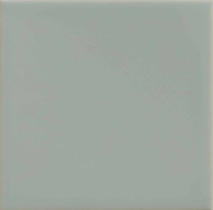 Tunstall Fern Square Tile | 12.5x12.5cm Ceramic — Tile.co.uk